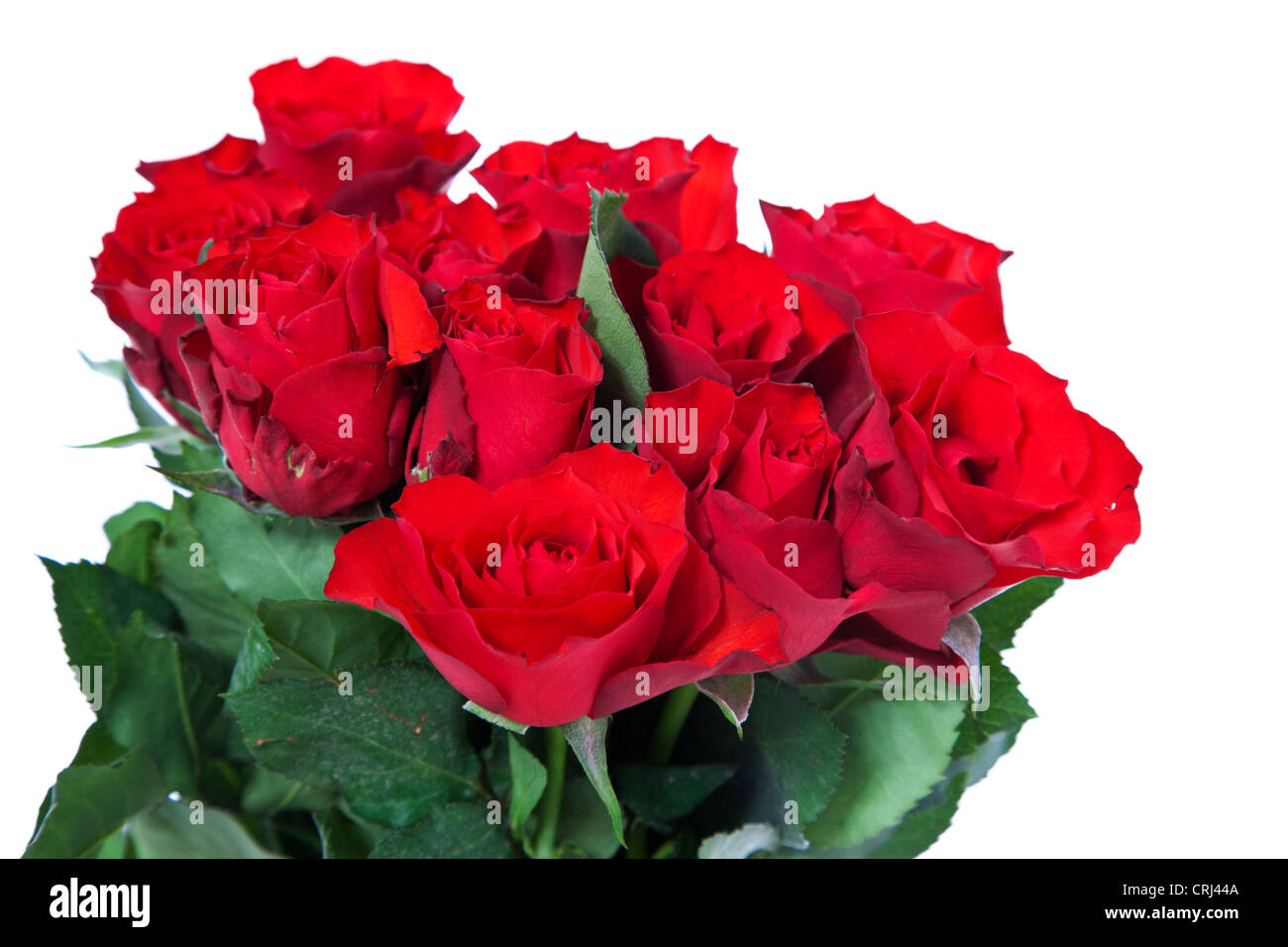 Bunch of red roses. All on white background Stock Photo - Alamy
