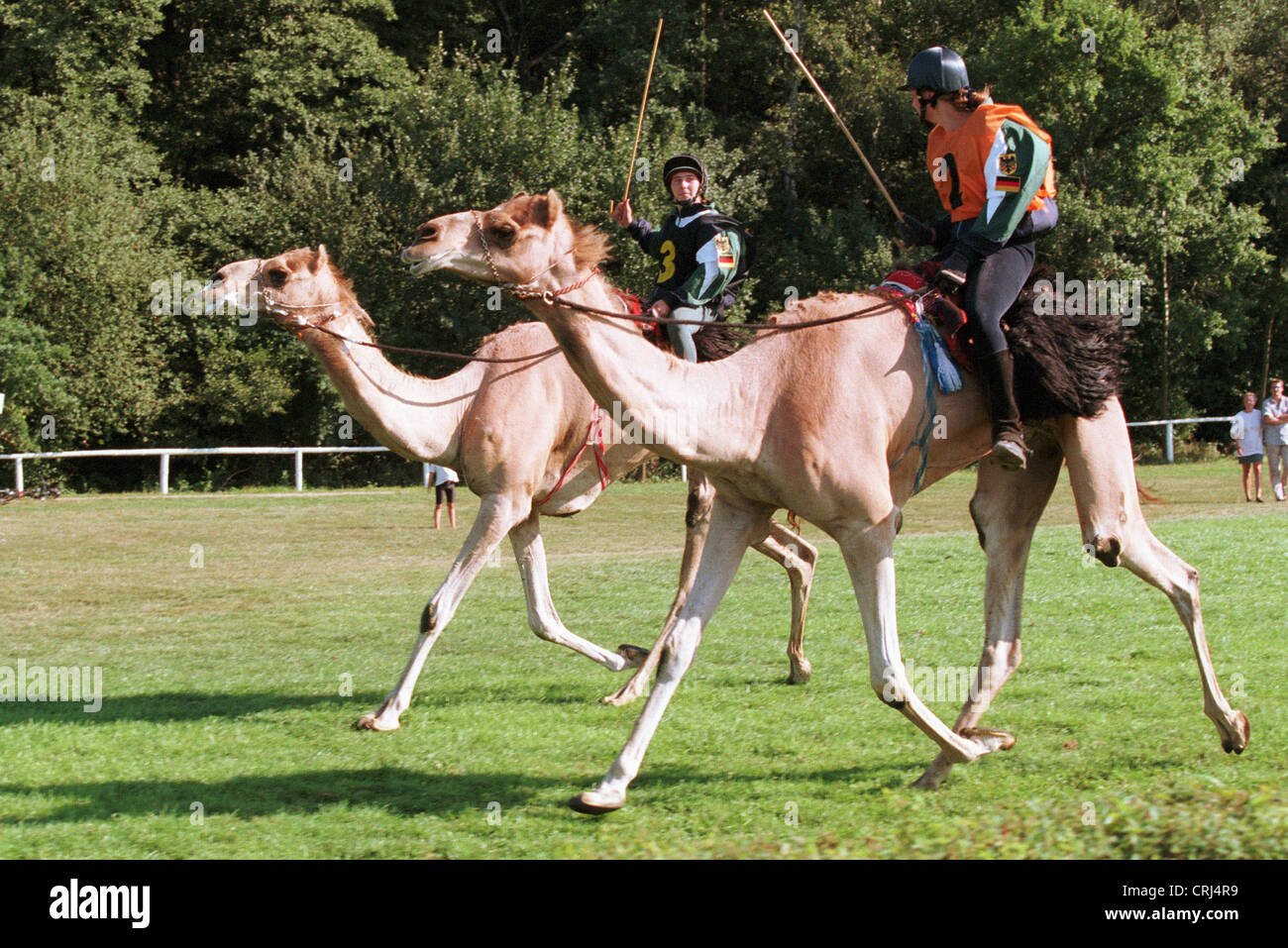 Races racecourse hi-res stock photography and images - Alamy