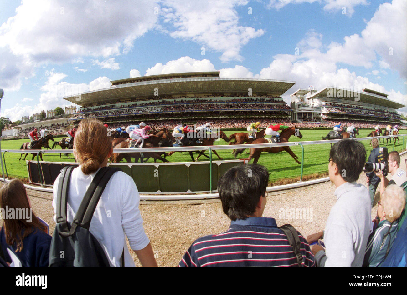 Longchamp Horse High Resolution Stock Photography and Images - Alamy