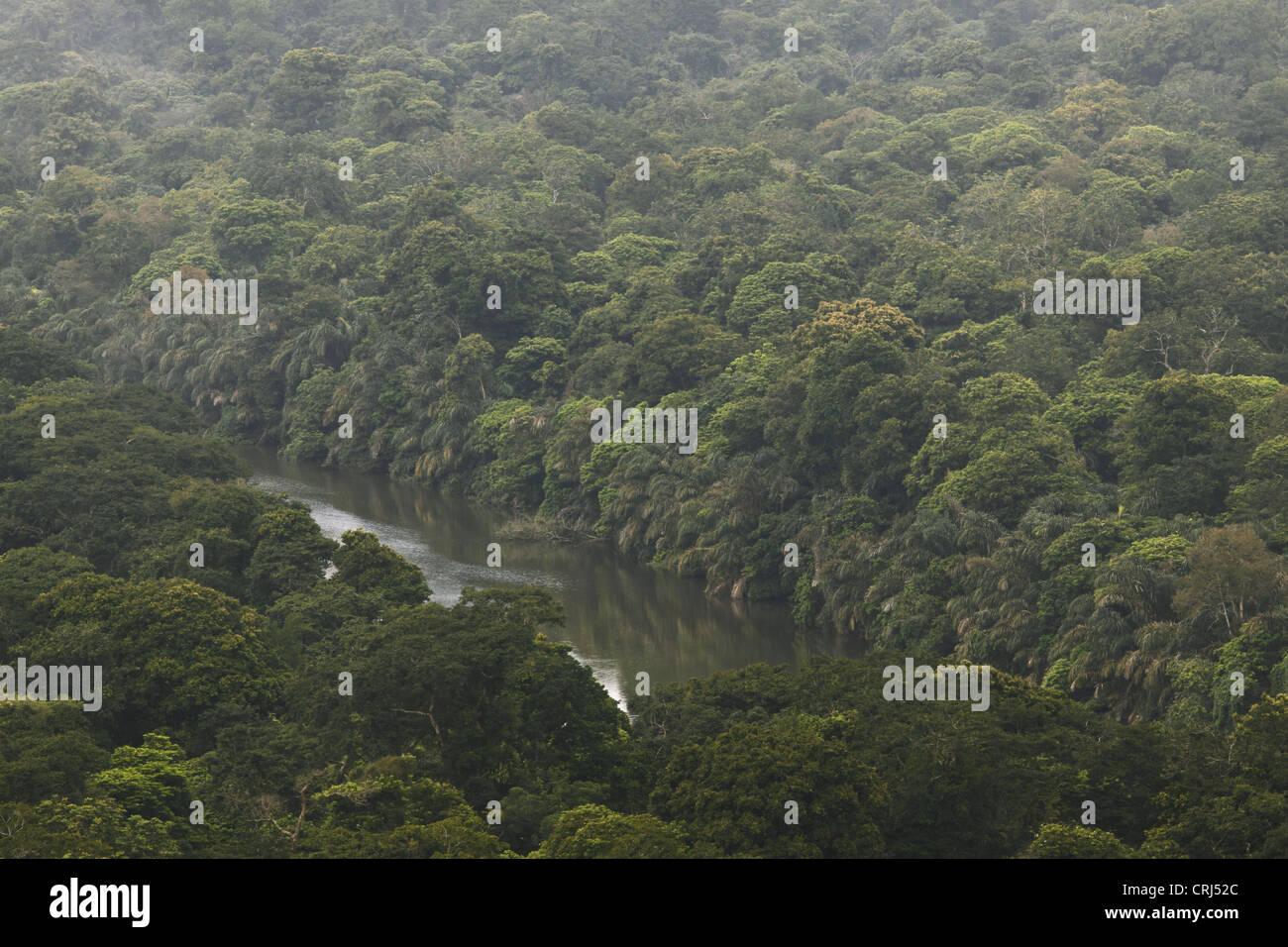 Natural canal in Caribbean lowland rainforest. View southwest from ...