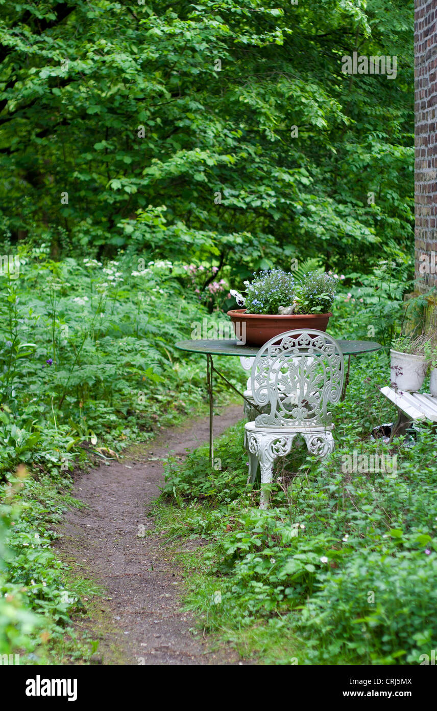 Overgrown backyard hi-res stock photography and images - Alamy
