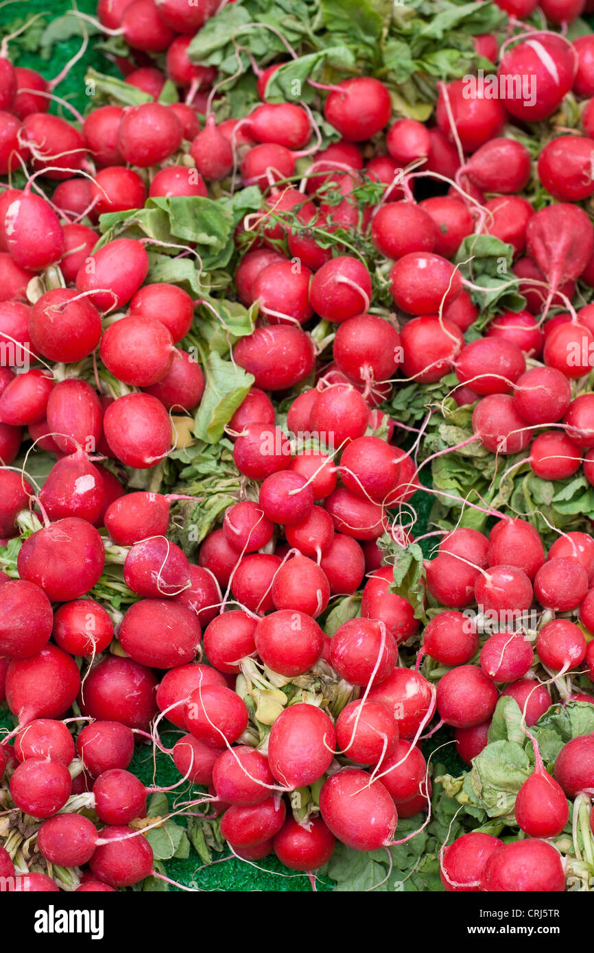 Radish background texture Stock Photo - Alamy