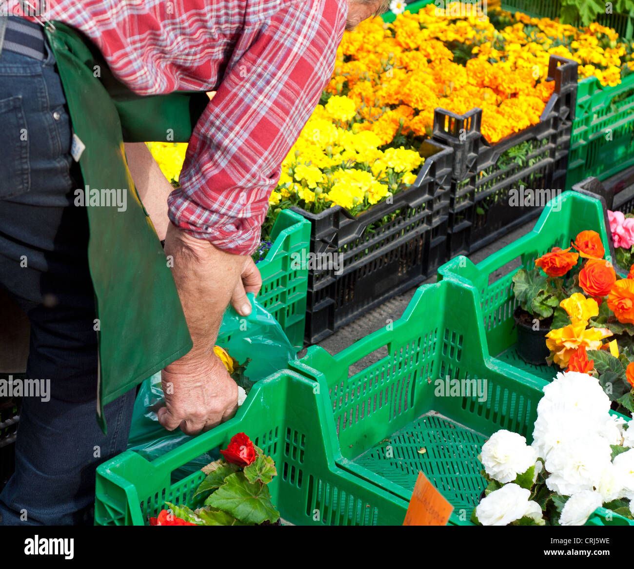 Offer flowers hi-res stock photography and images - Alamy