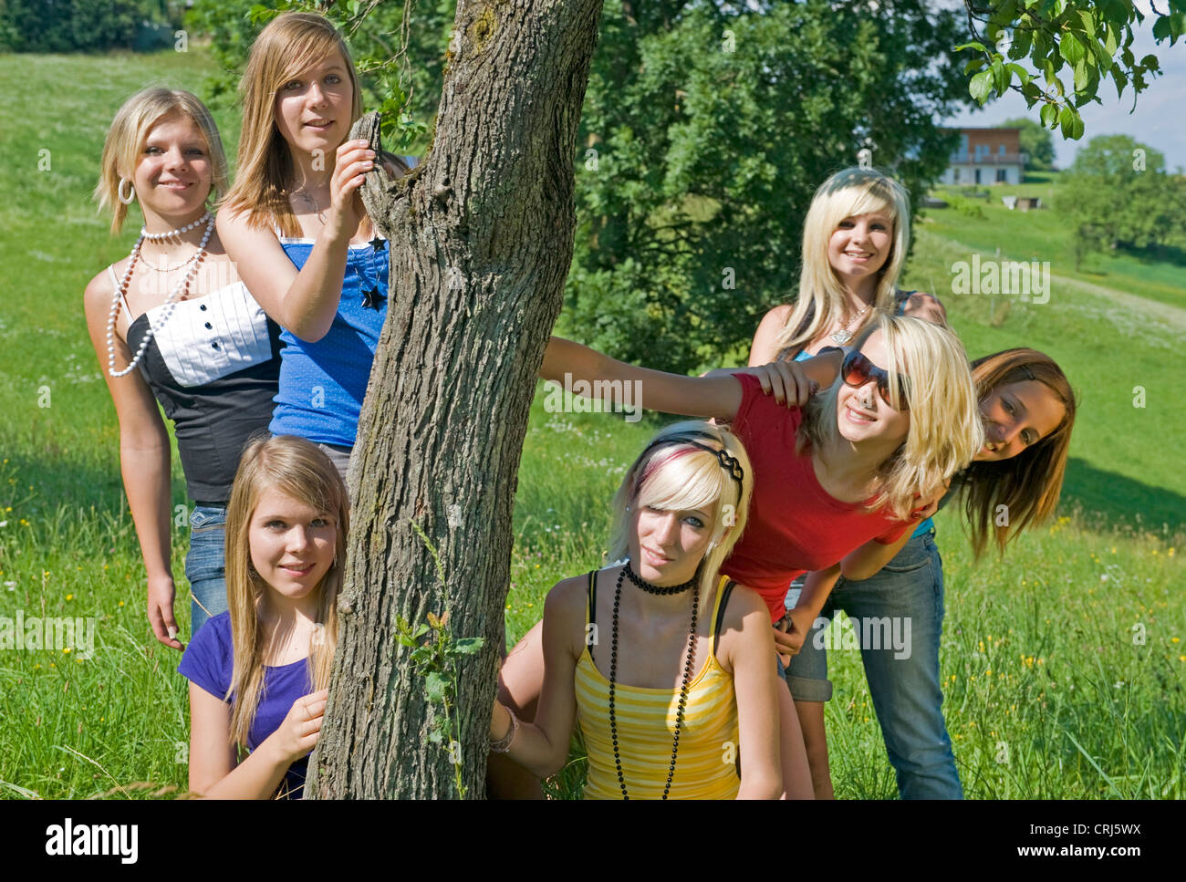 group of teenage girls at the trunk of a tree in a meadow Stock Photo ...