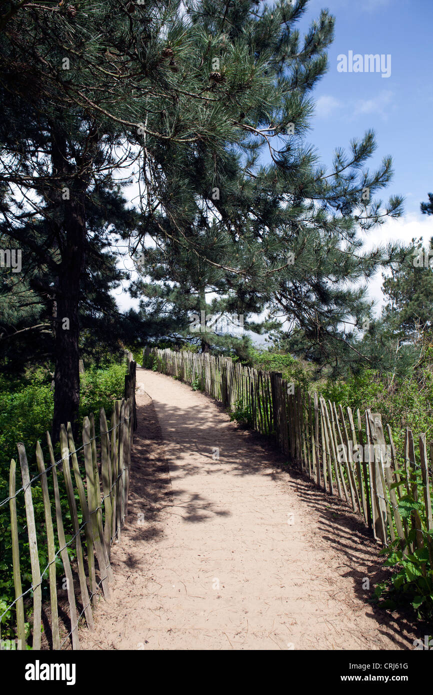 Wooden fencing lines the path to the beach Stock Photo - Alamy