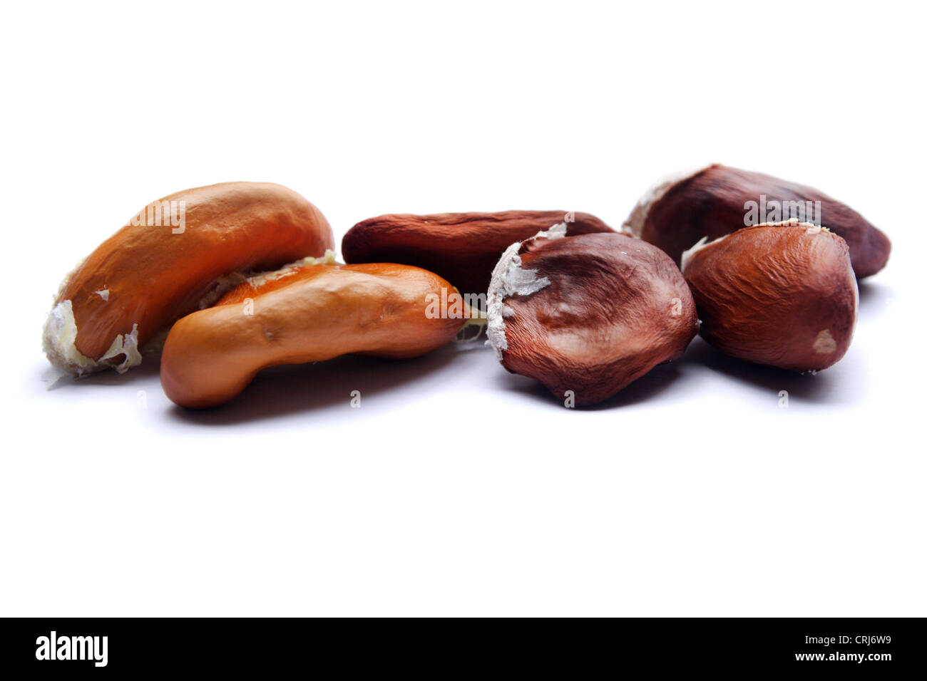 Durian seed hi-res stock photography and images - Alamy
