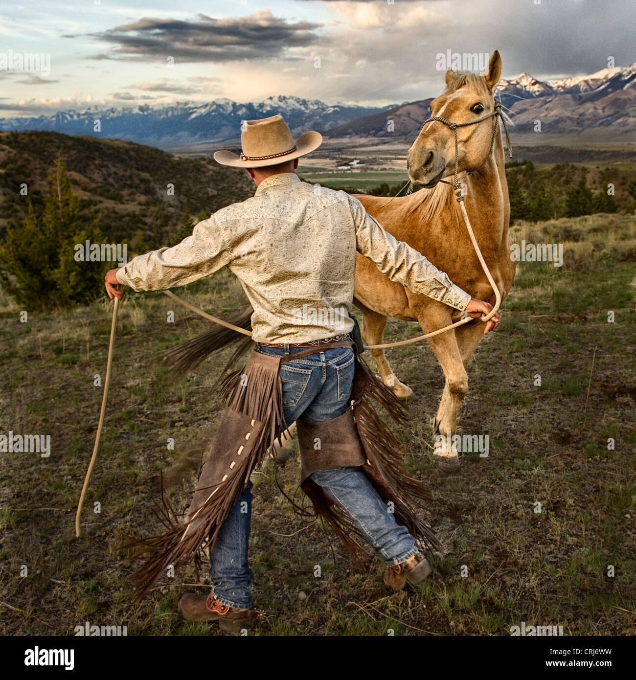 Cowboy with horse and rope Stock Photo - Alamy