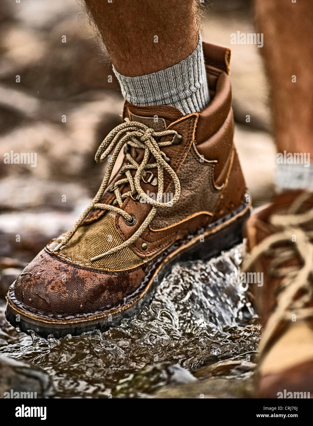 Boot in water Stock Photo - Alamy