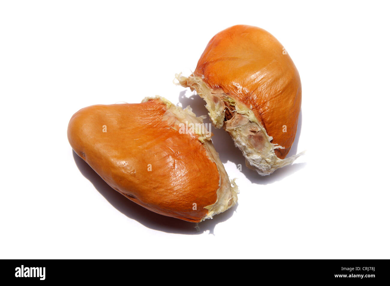 Durian seeds Cut Out Stock Images & Pictures - Alamy