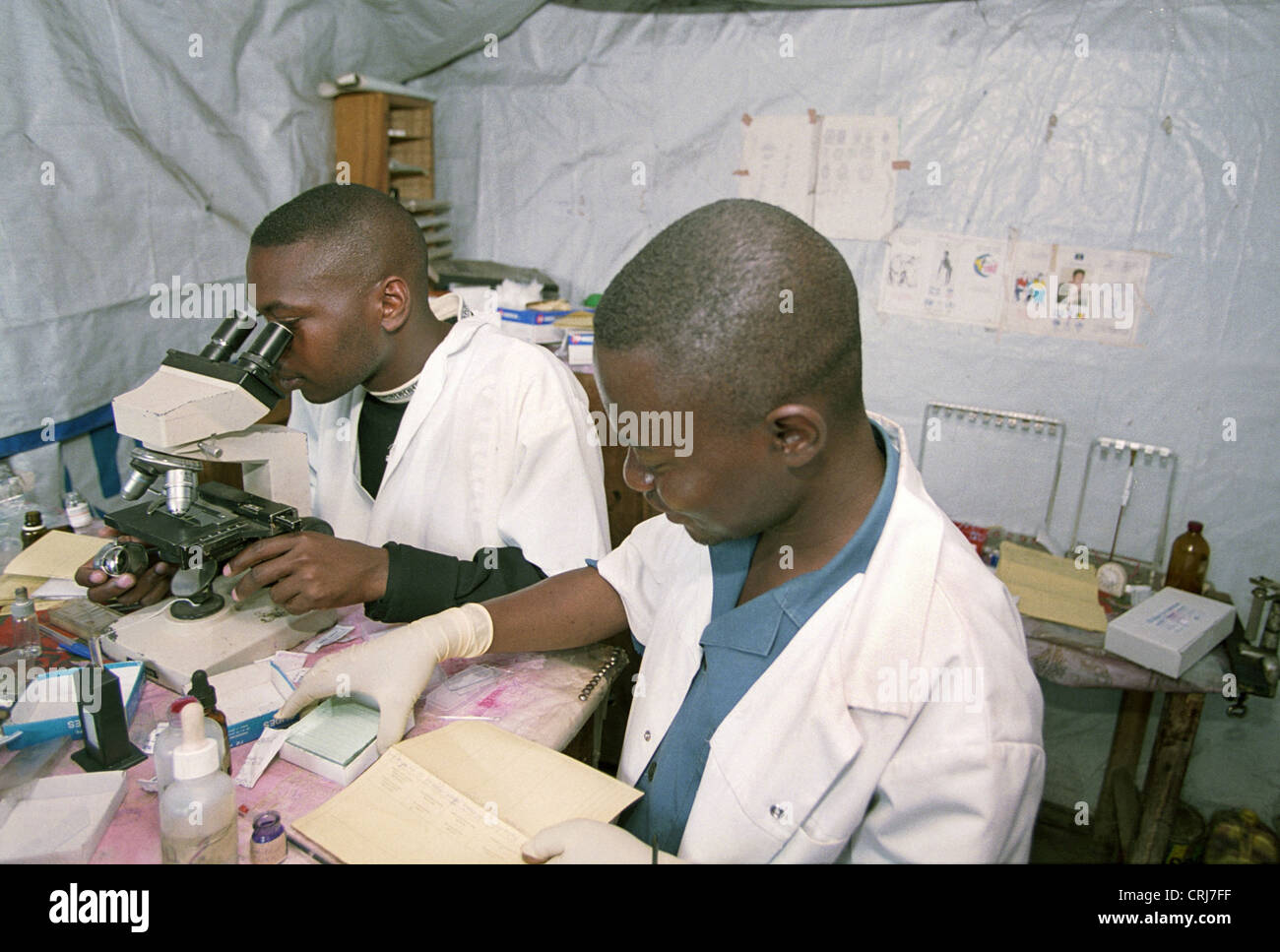 Screening at the microscope in Goma Stock Photo - Alamy
