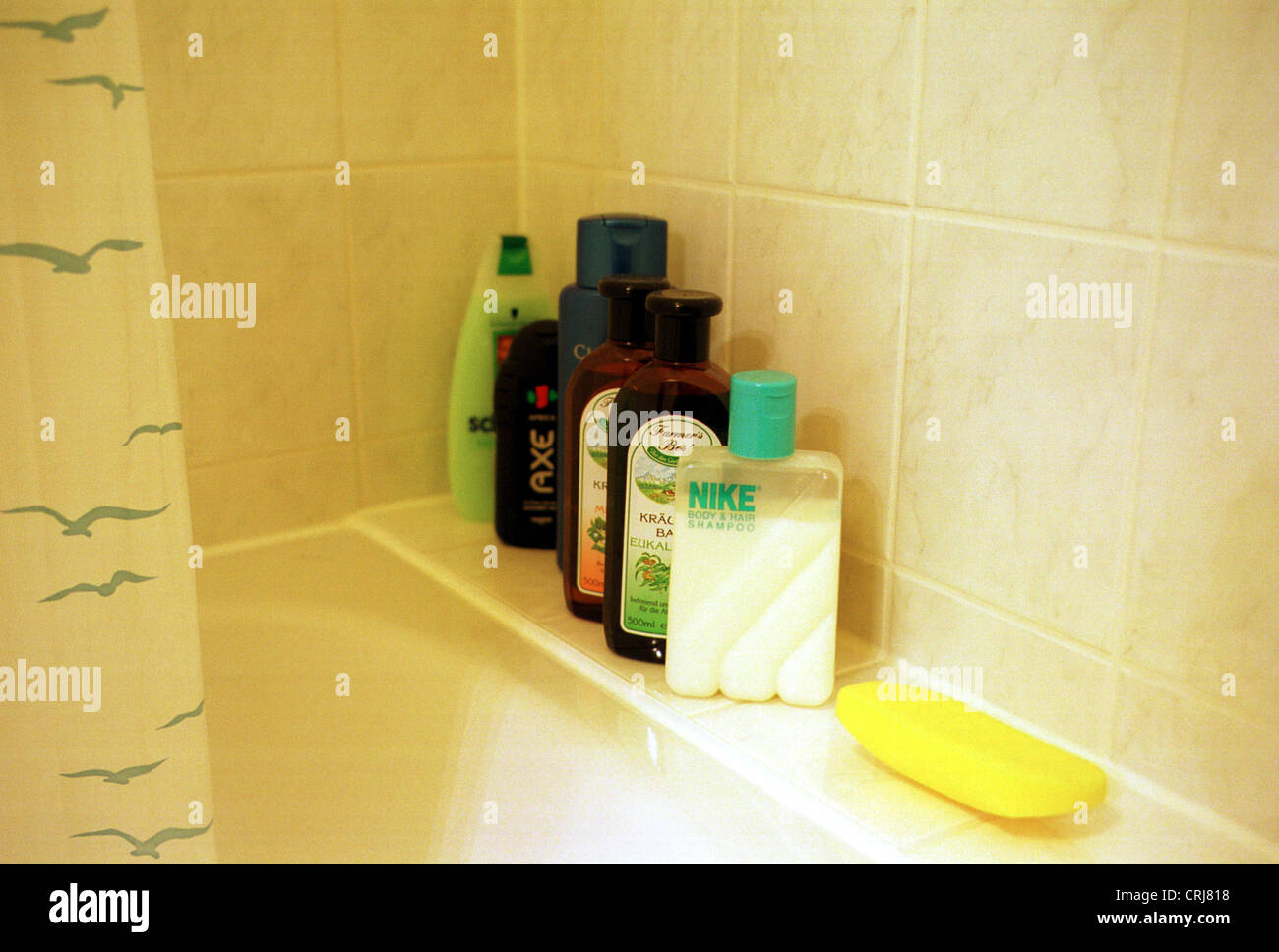Different varieties of shampoos Stock Photo - Alamy