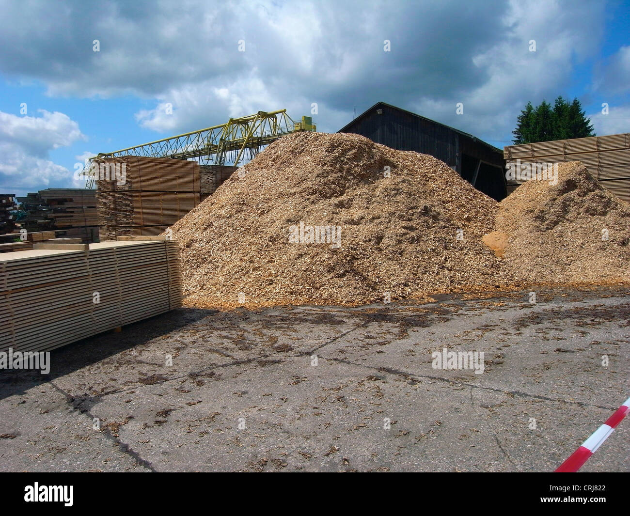 heaps of sawdust at a sawmill Stock Photo - Alamy