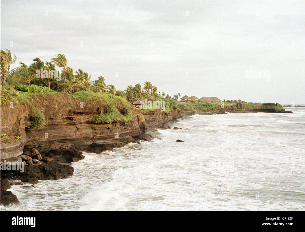 Cliffs overgrown with palms on Bali Stock Photo - Alamy