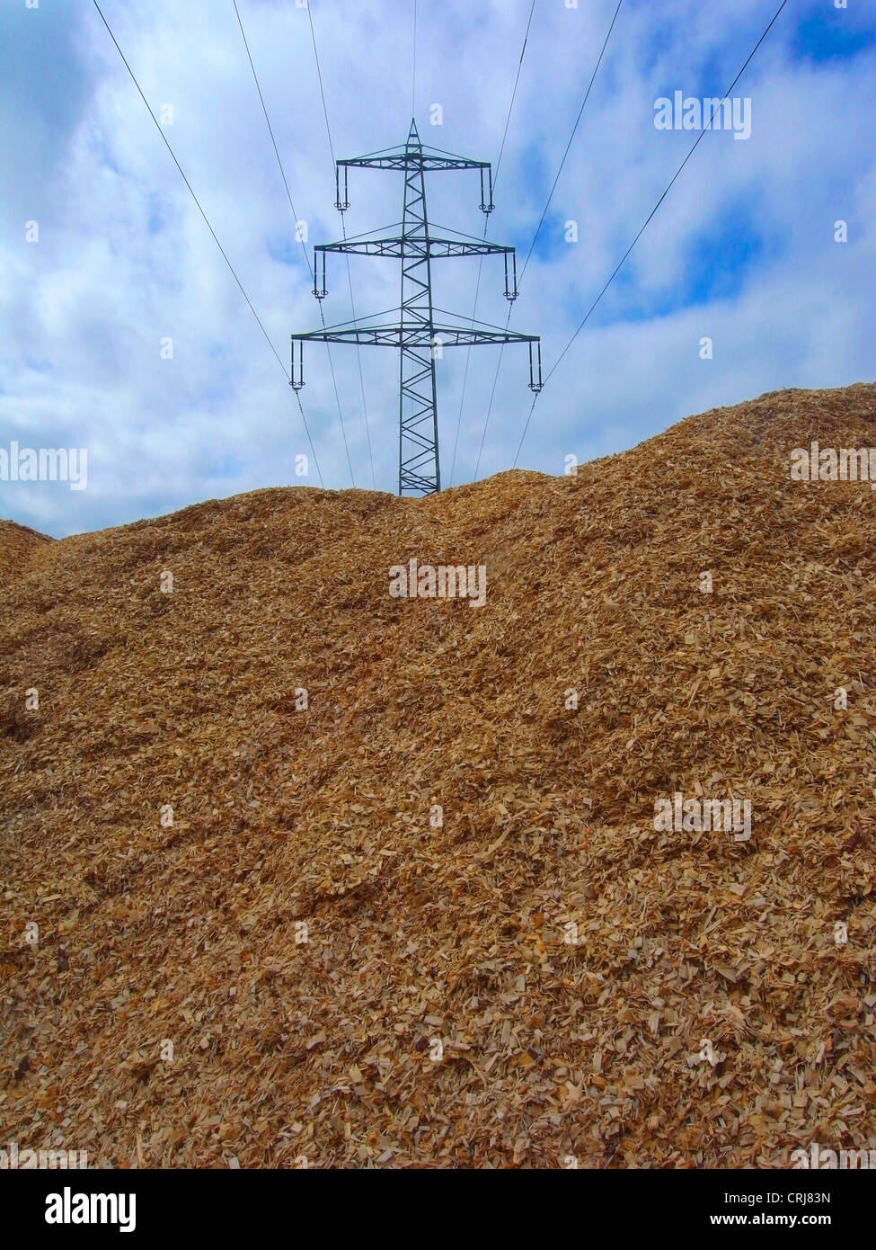 Shavings sawdust from wood hi-res stock photography and images - Alamy