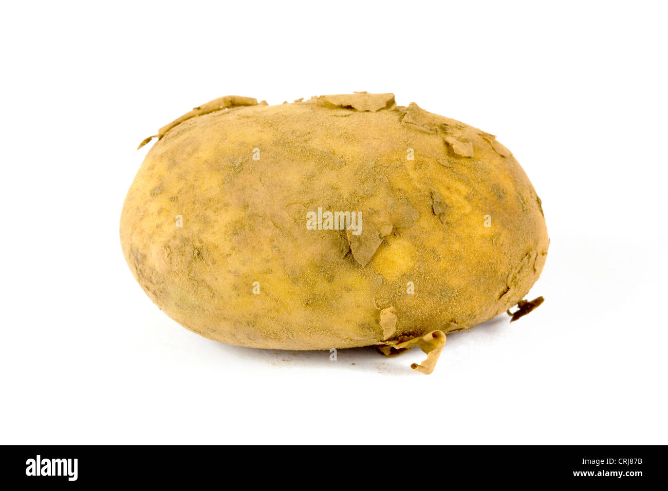 Single organic dirty potato on a white background Stock Photo - Alamy