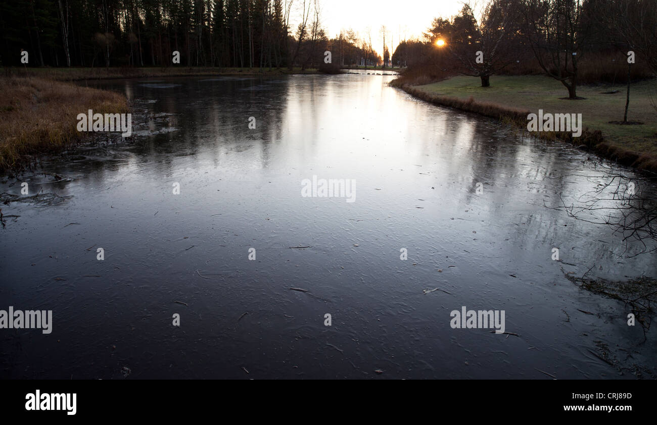 First ice skim layer on a garden pond , Finland Stock Photo - Alamy