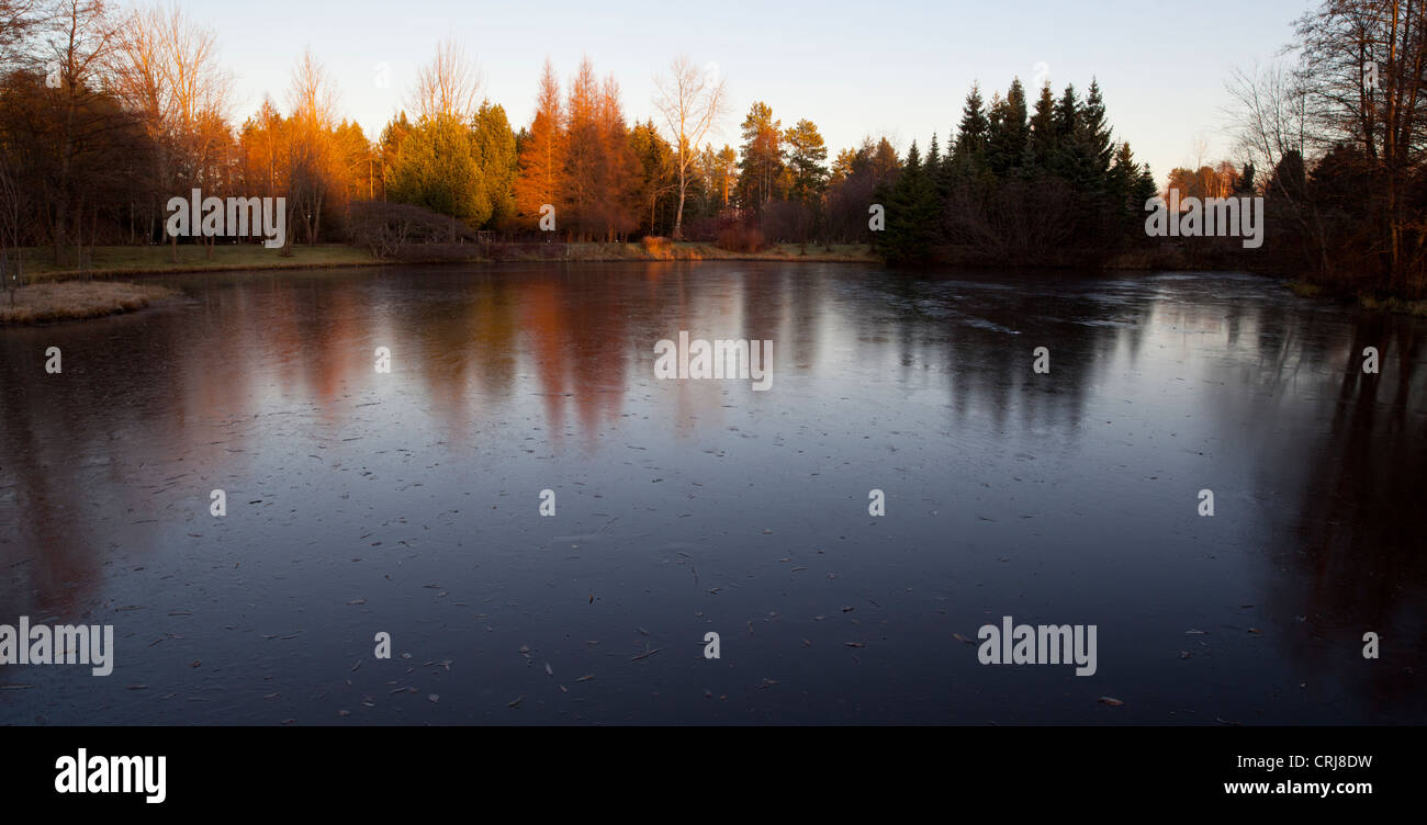 Ice on garden pond hi-res stock photography and images - Alamy