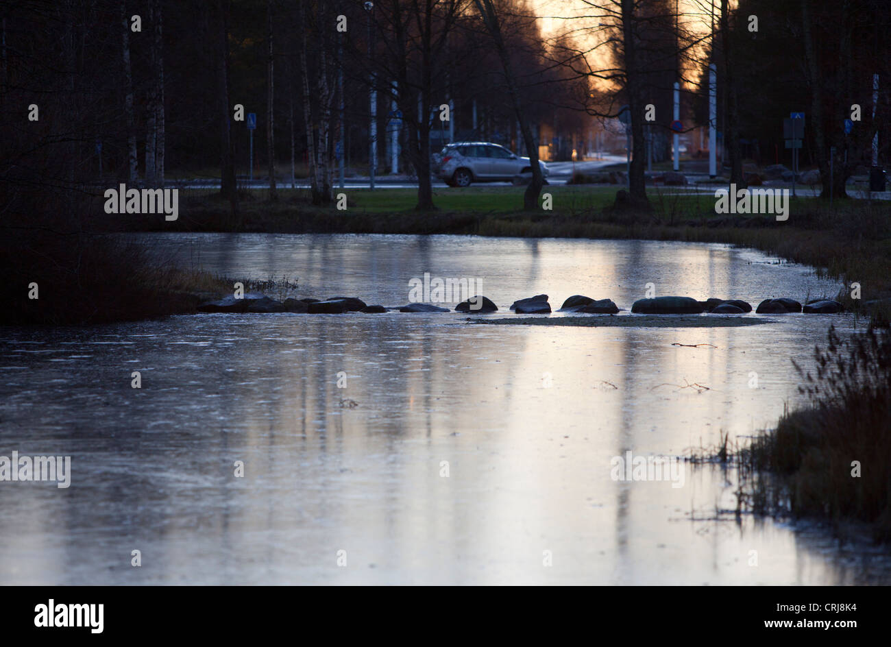 First ice skim layer on a garden pond , Finland Stock Photo - Alamy