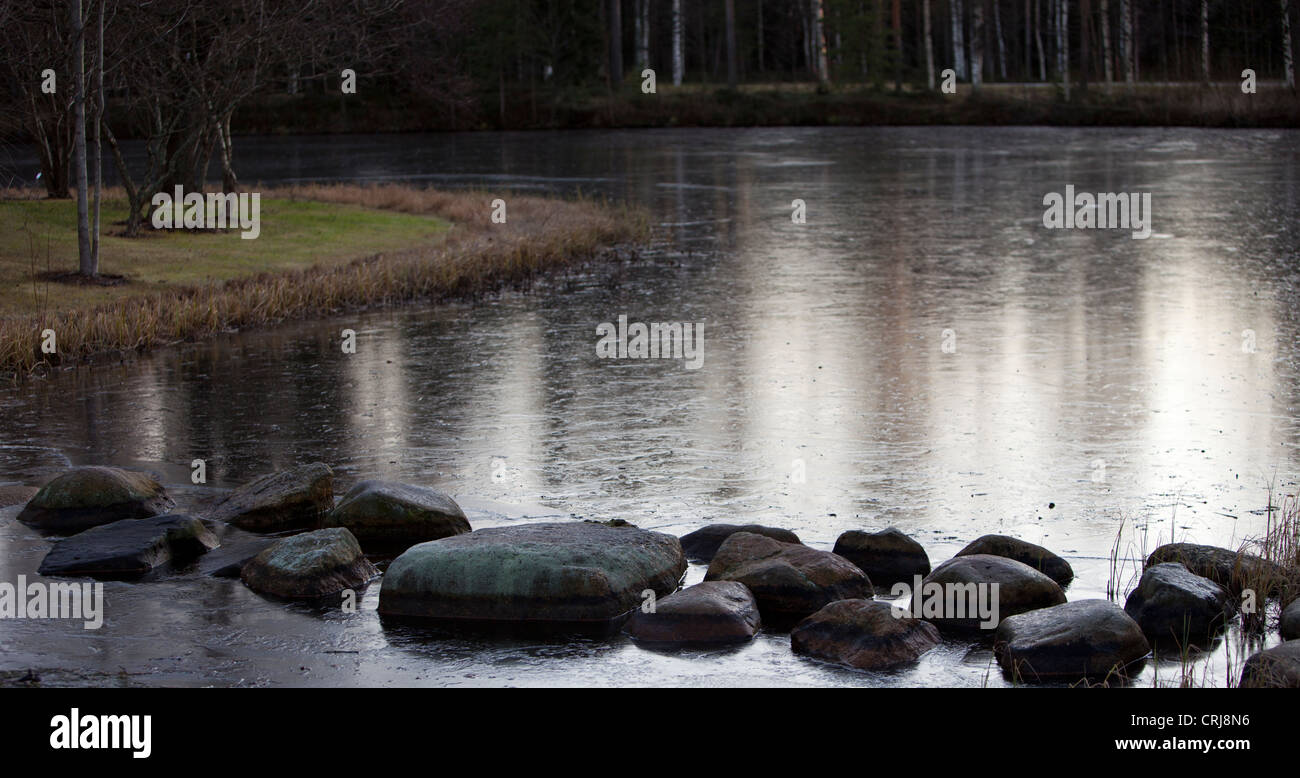First ice skim layer on a garden pond , Finland Stock Photo - Alamy