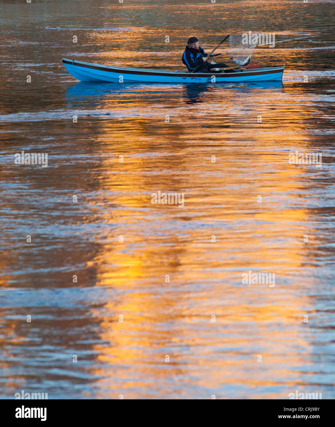 Fisherman has caught a salmon from a rowboat / skiff / dinghy , Finland ...