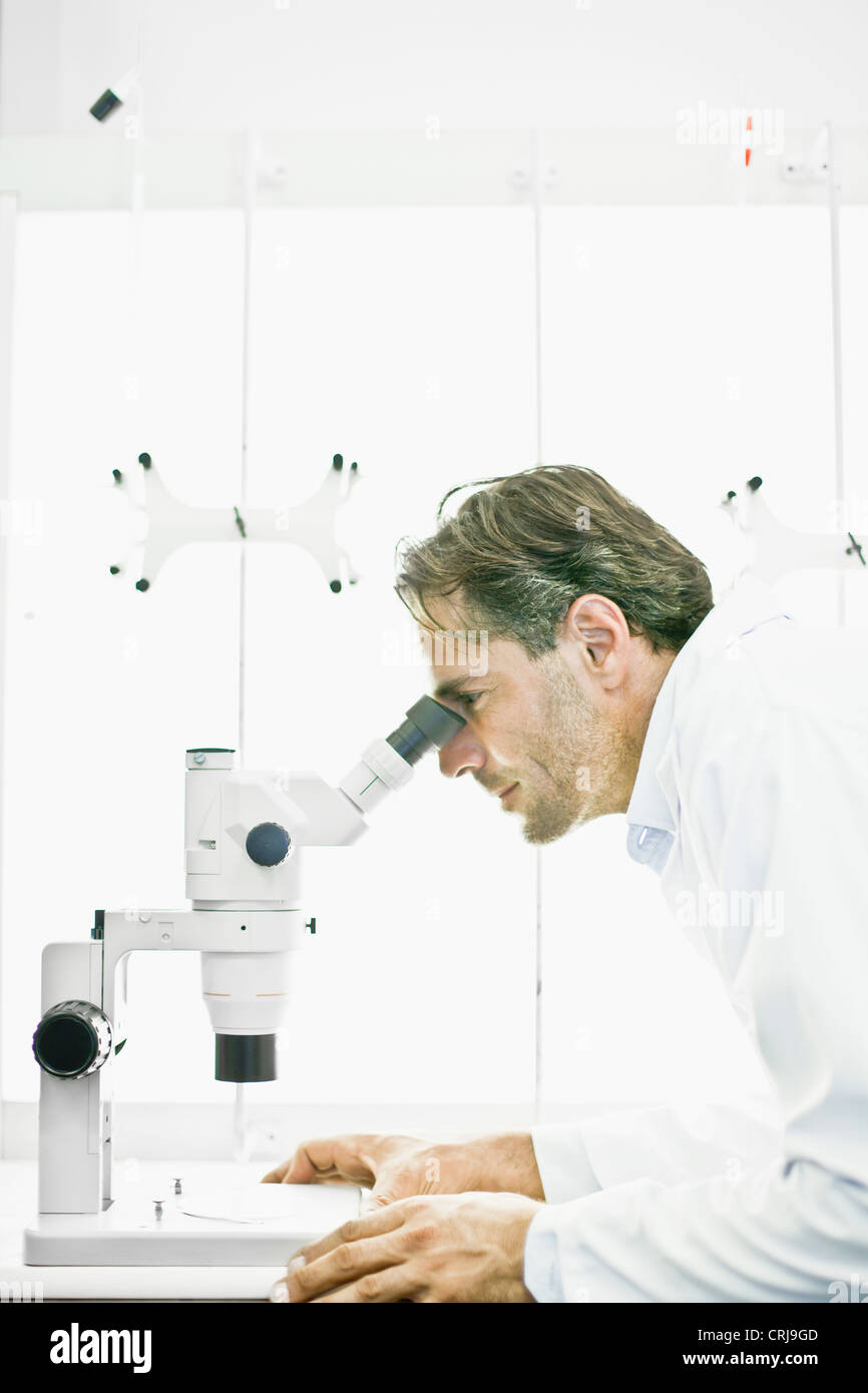 Scientist using microscope in lab Stock Photo - Alamy