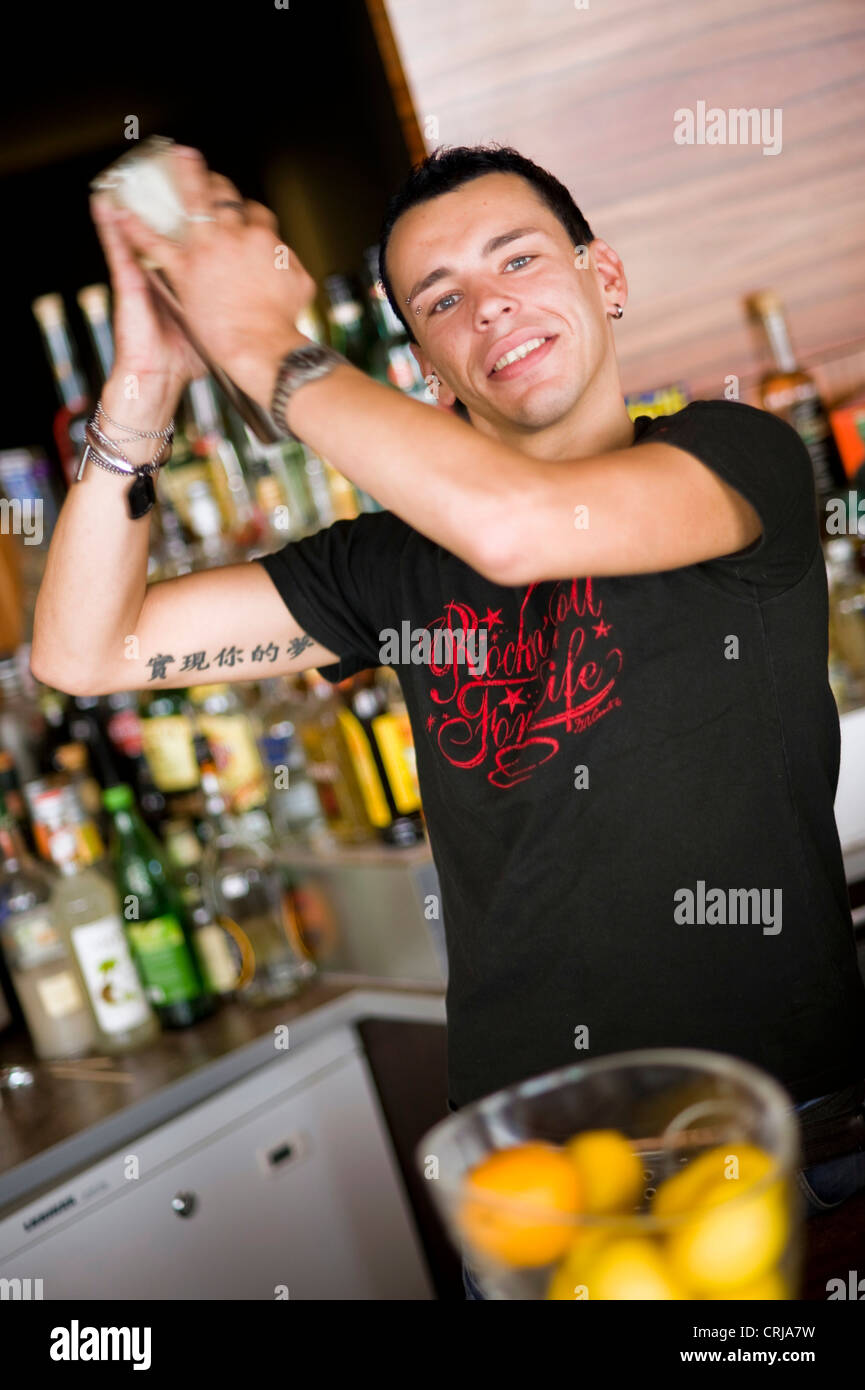 barkeeper mixing cocktail with a shaker Stock Photo - Alamy