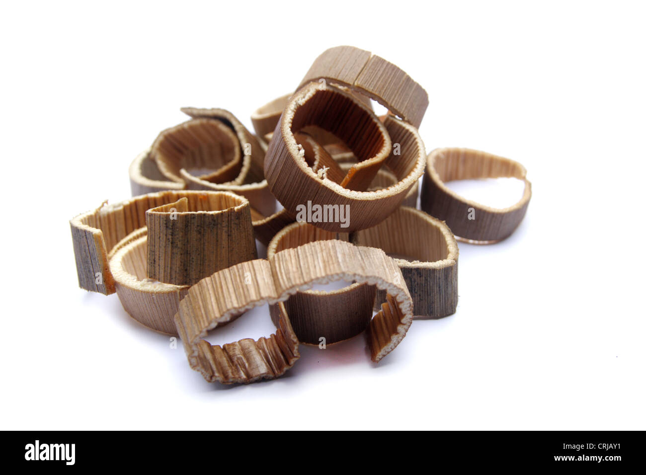 An leaf sheath Cut Out Stock Images & Pictures - Alamy