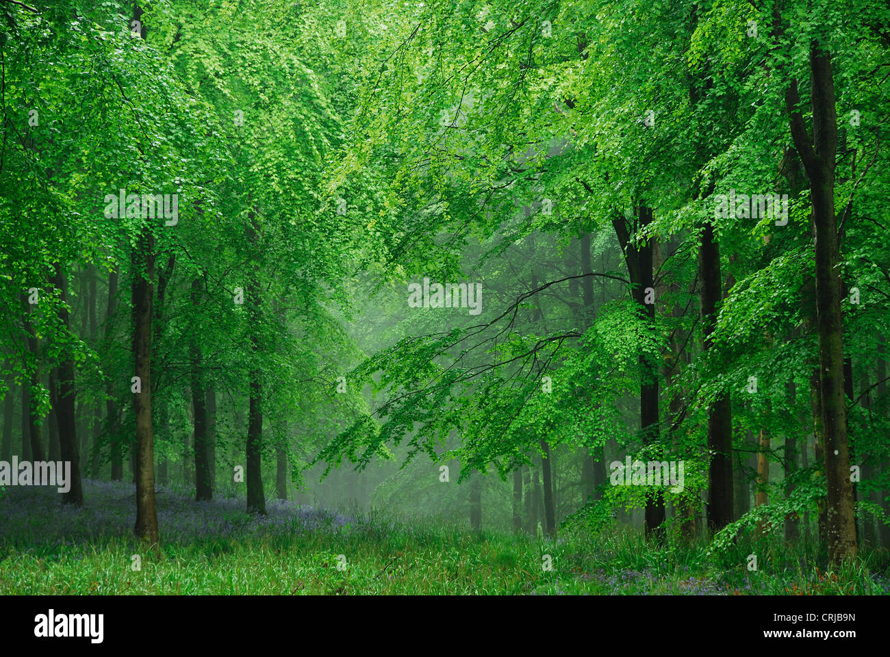 Mist rolling in hi-res stock photography and images - Alamy