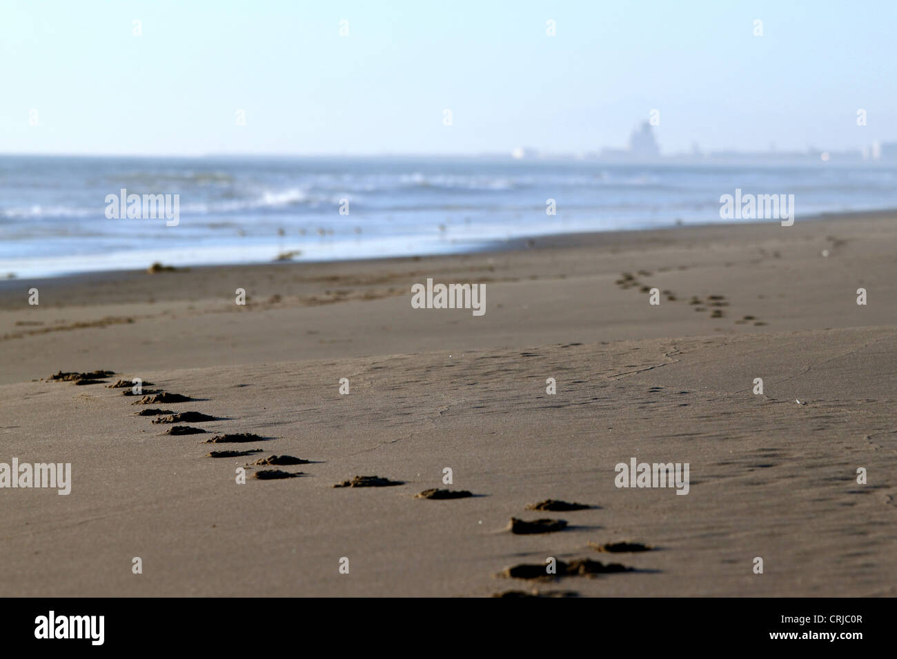 Texture expedition explore hi-res stock photography and images - Alamy