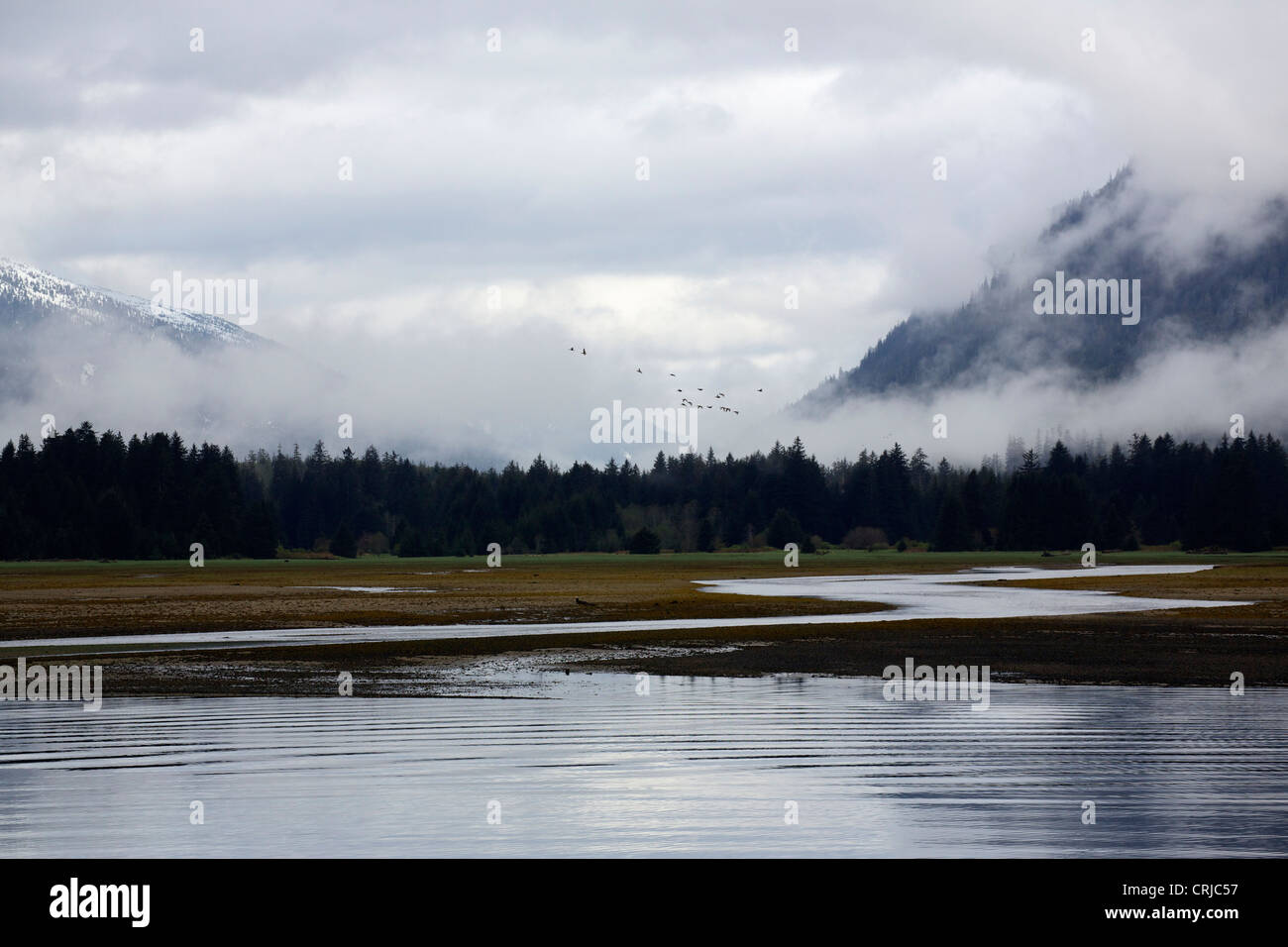 Chichagof island hi-res stock photography and images - Alamy