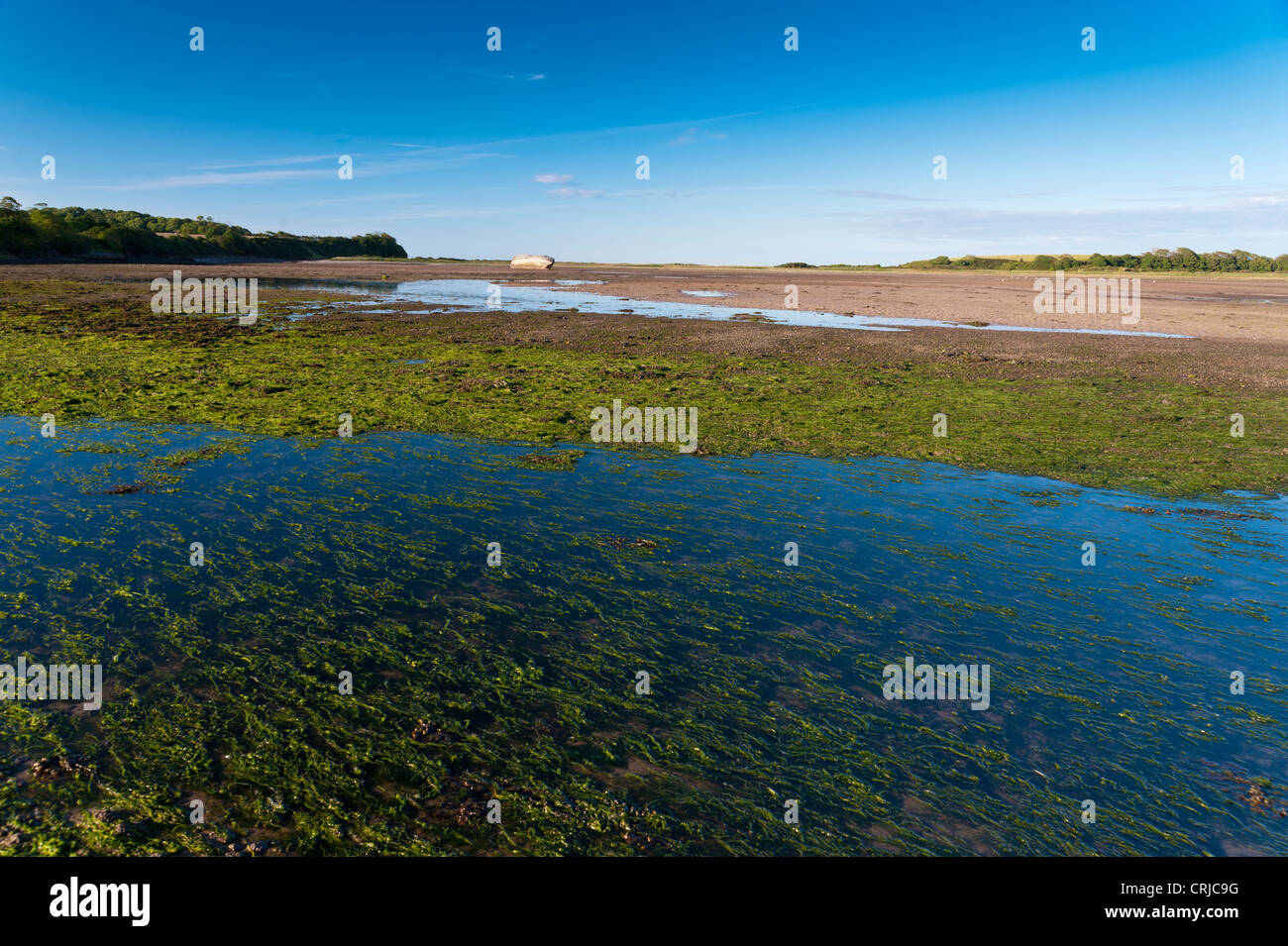 Dulas Beach Anglesey North Wales Uk Stock Photo - Alamy