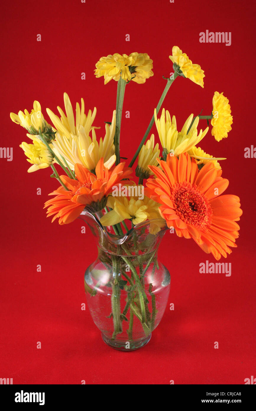 Cut blooms hi-res stock photography and images - Alamy
