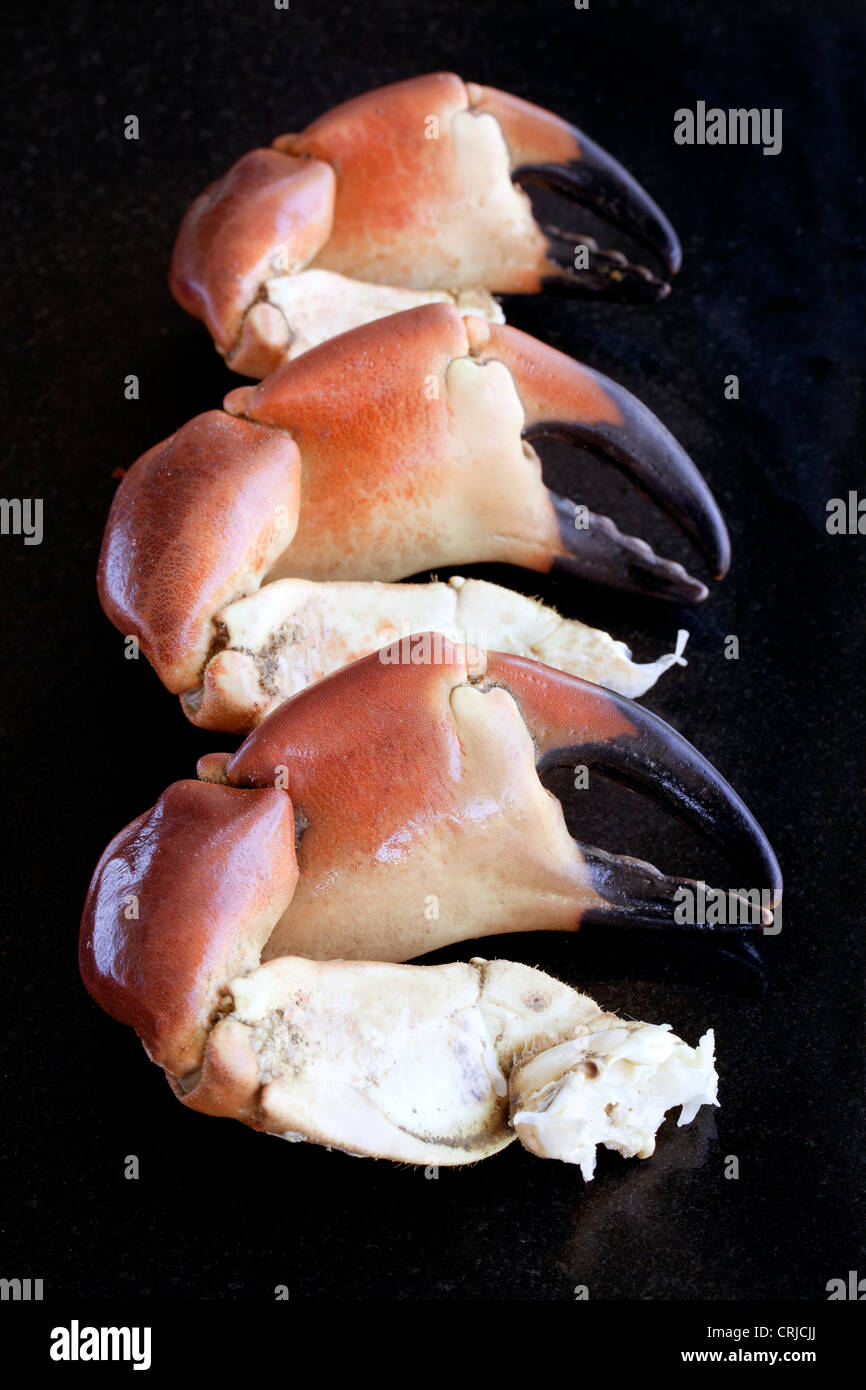 Crabs and claws hi-res stock photography and images - Alamy