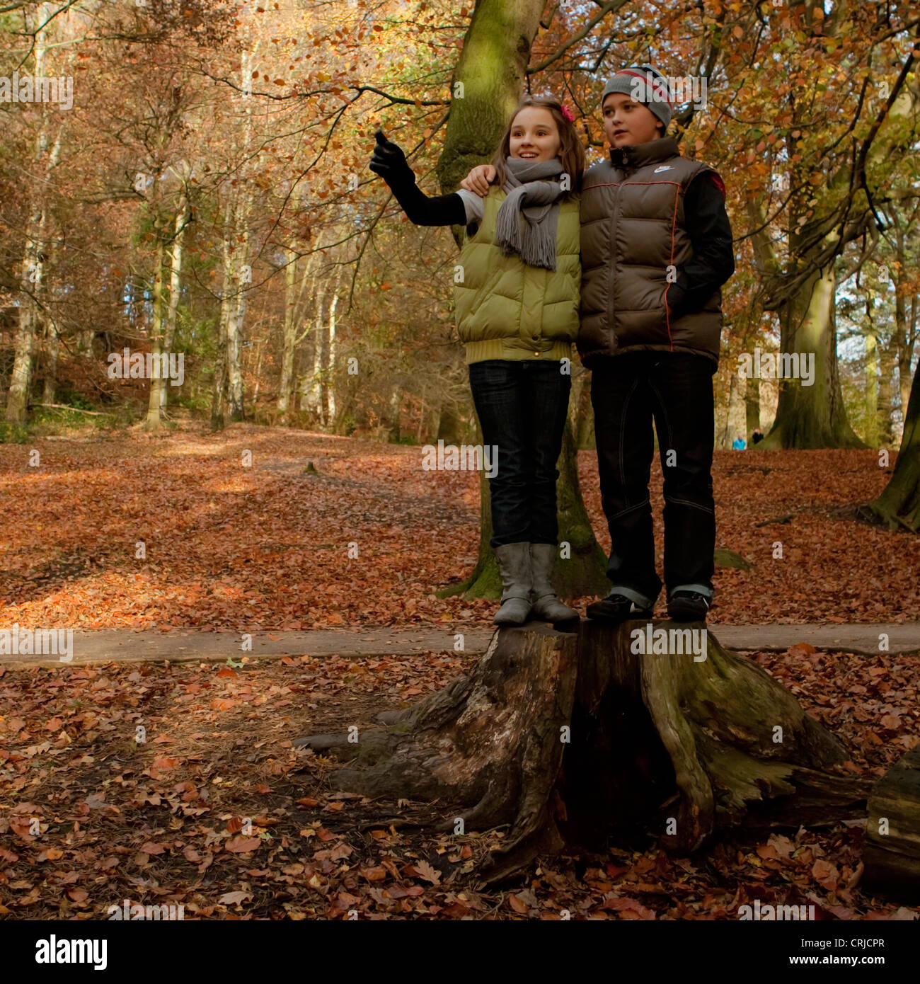 A girl and a boy standing on a tree-trunk and pointing at something in ...