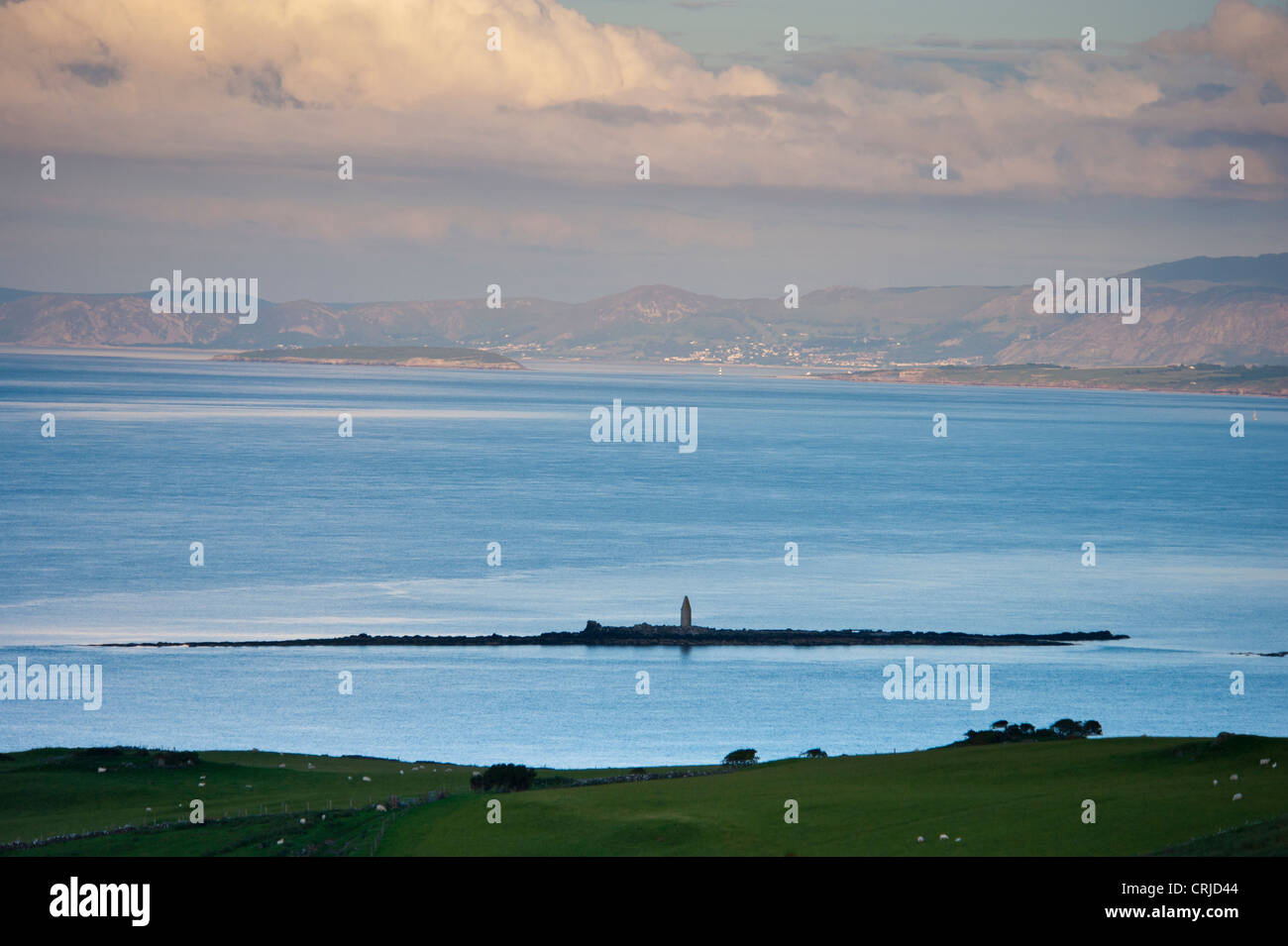 Island puffin hi-res stock photography and images - Alamy