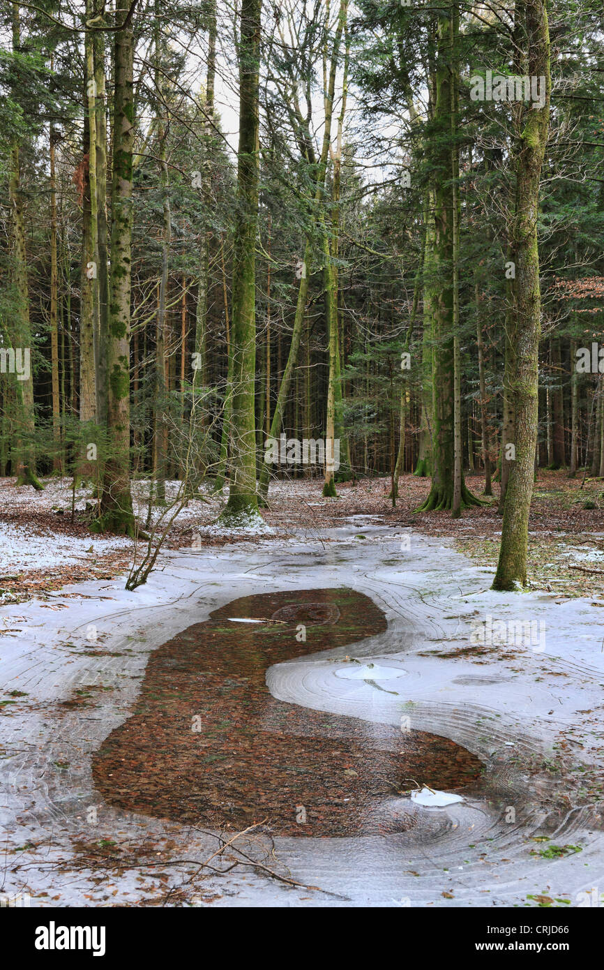 Frozen water pond in a forest, Chiemgau Upper Bavaria Germany Stock ...