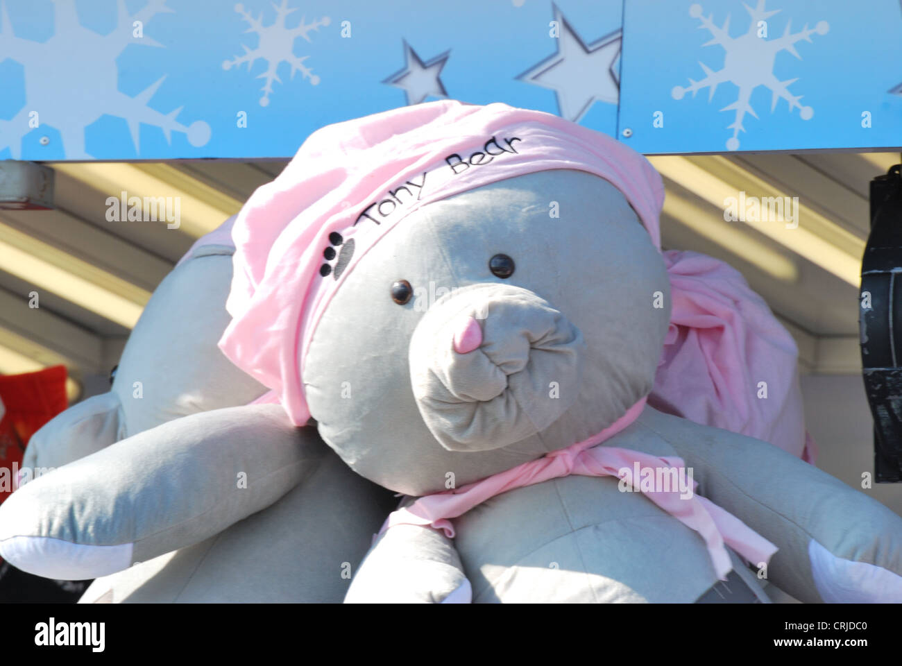 Toby Bear cuddly toy Stock Photo - Alamy