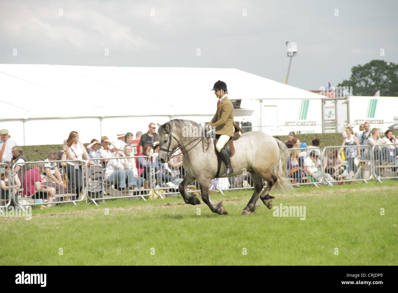 Horse riding Cheshire Show Stock Photo - Alamy
