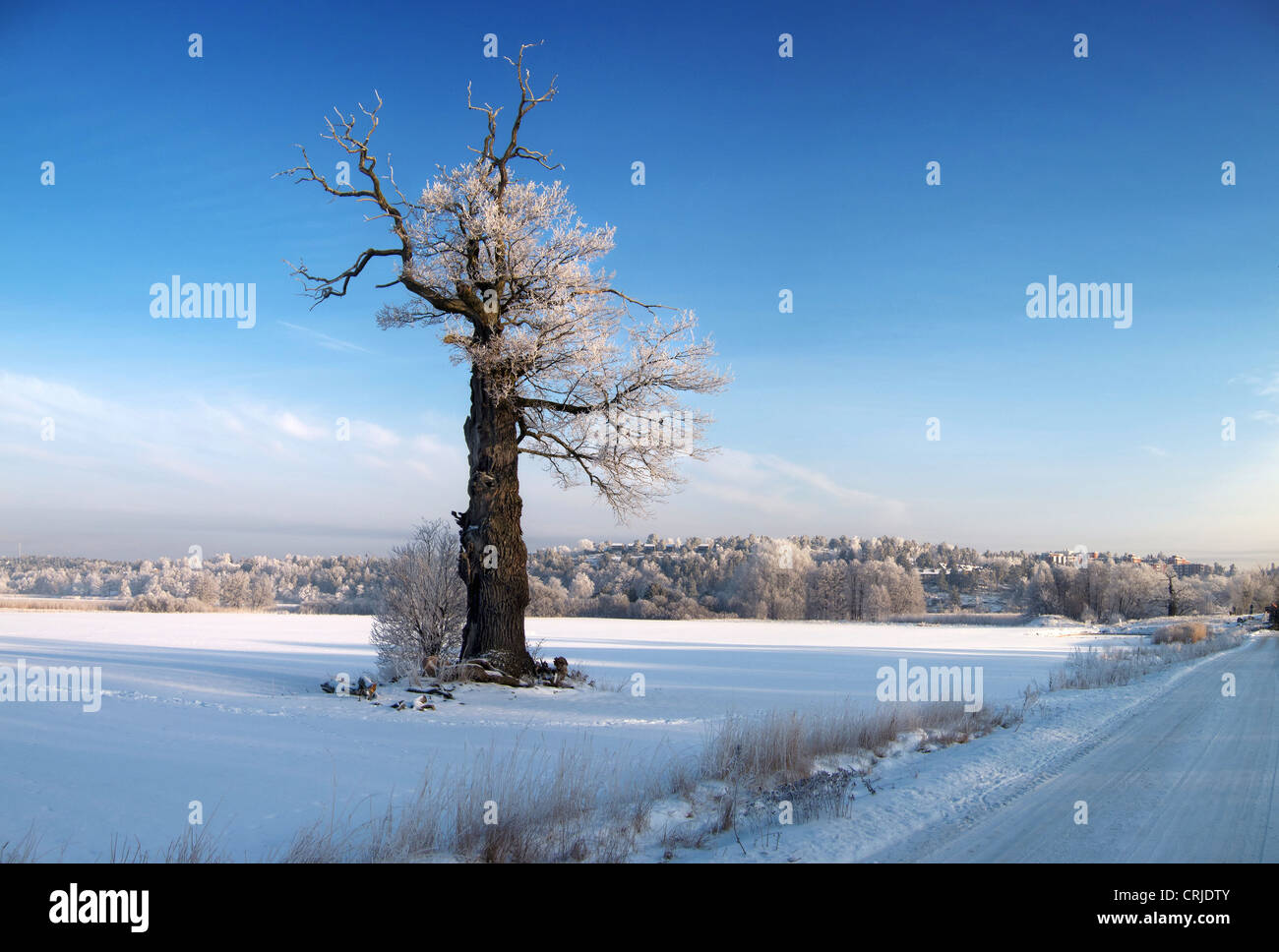 Winterview hi-res stock photography and images - Alamy