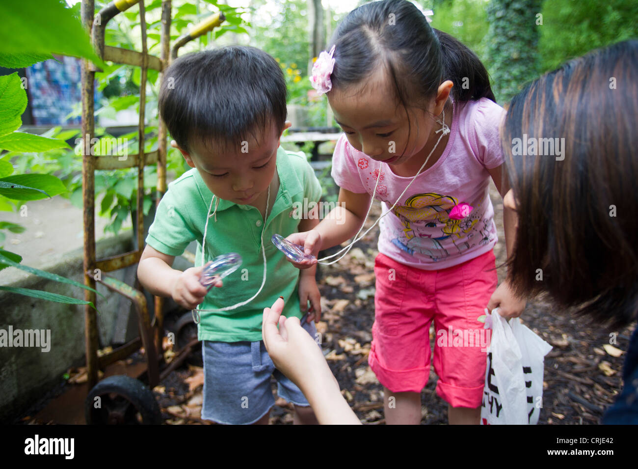 140,000 ladybugs have a new home in a community garden in the Lower ...