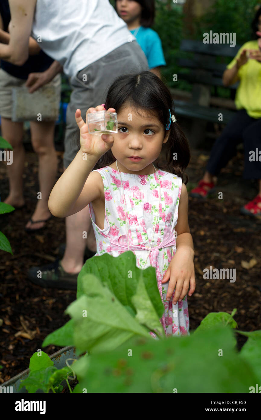 Magnifying glass garden bugs hi-res stock photography and images - Alamy