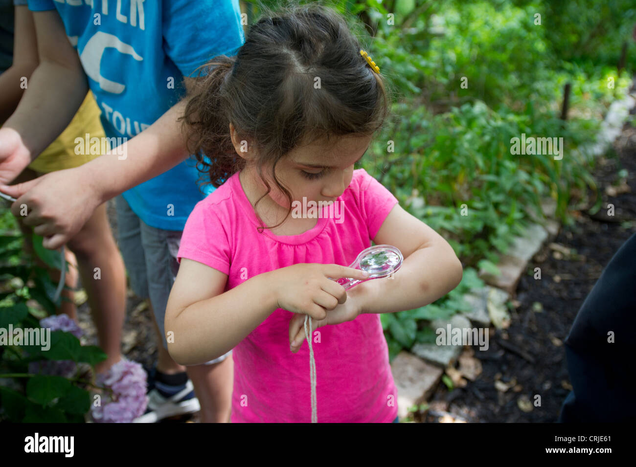 140,000 ladybugs have a new home in a community garden in the Lower ...