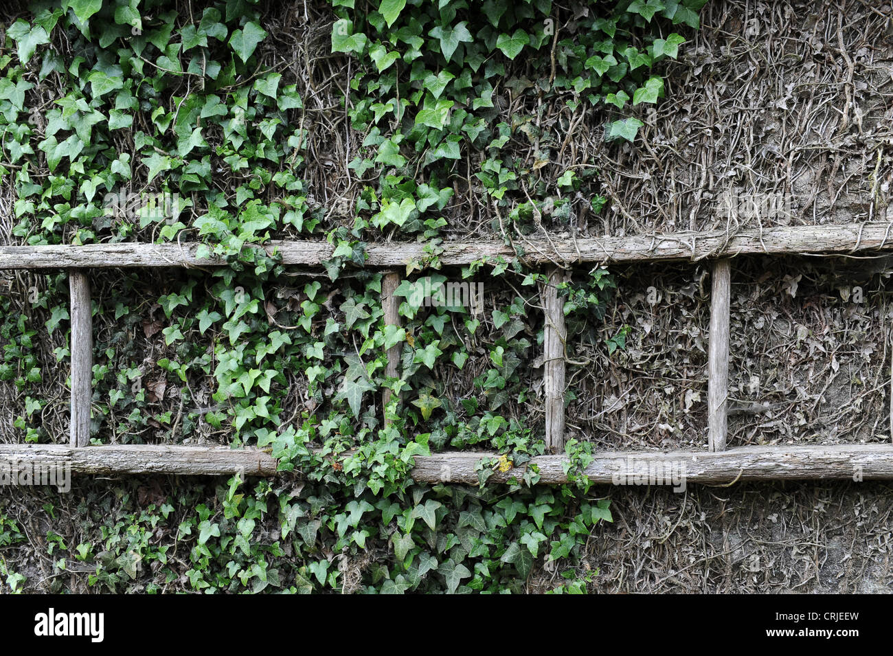 Wooden Ladders High Resolution Stock Photography and Images - Alamy