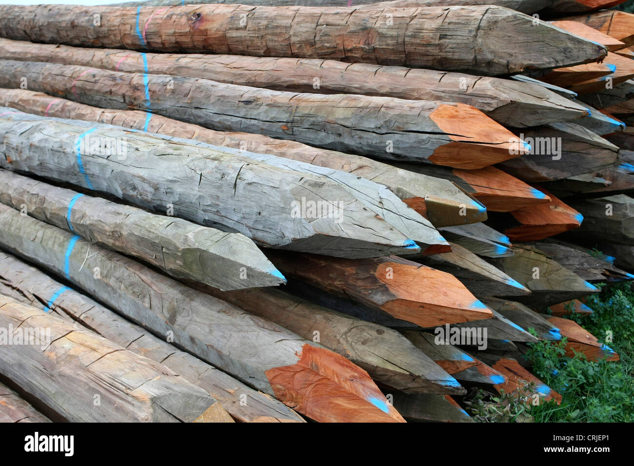 Piled stakes hi-res stock photography and images - Alamy