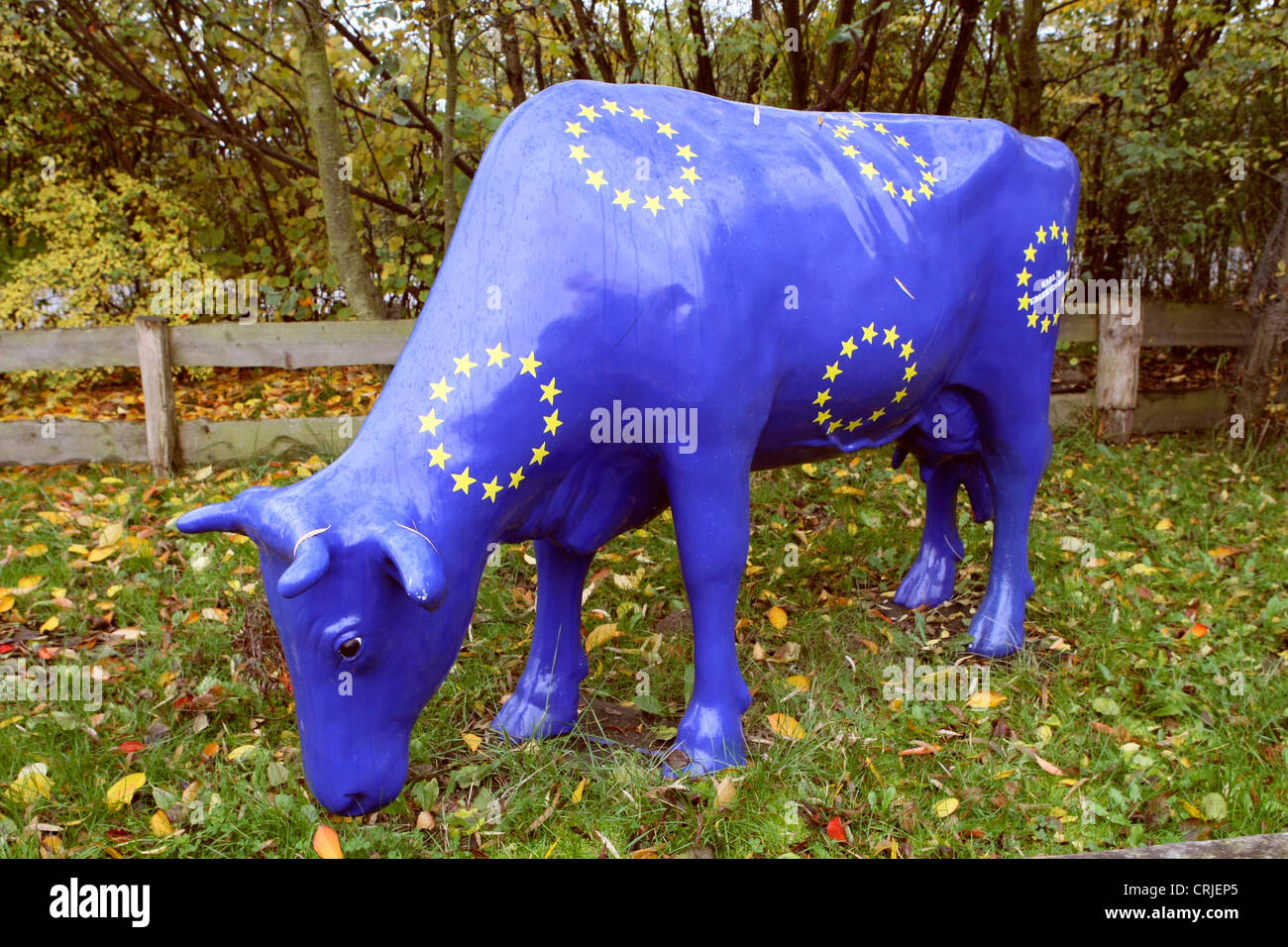 Model of a life sized cow hi-res stock photography and images - Alamy