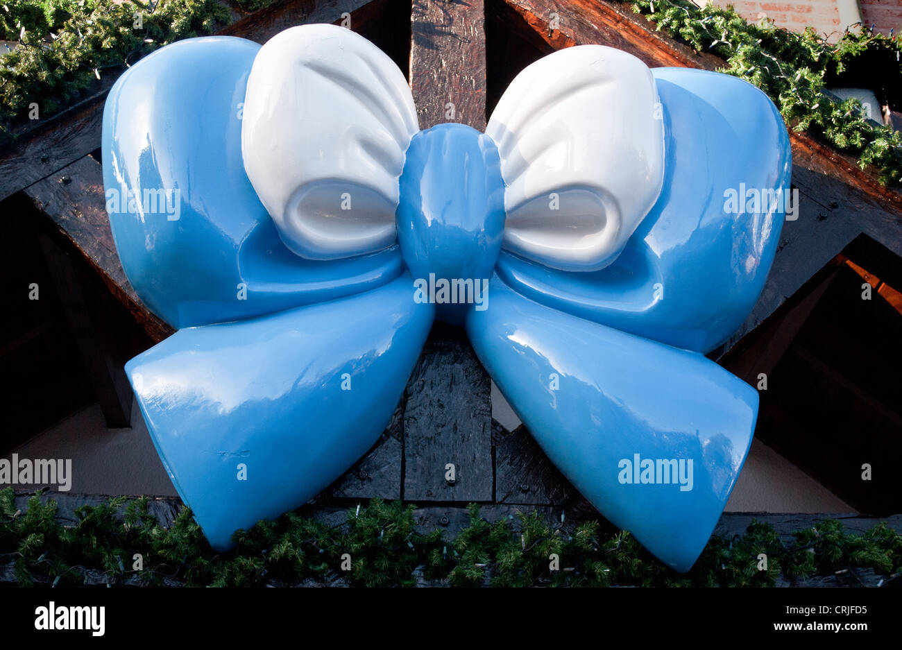 Argentine cockade hi-res stock photography and images - Alamy