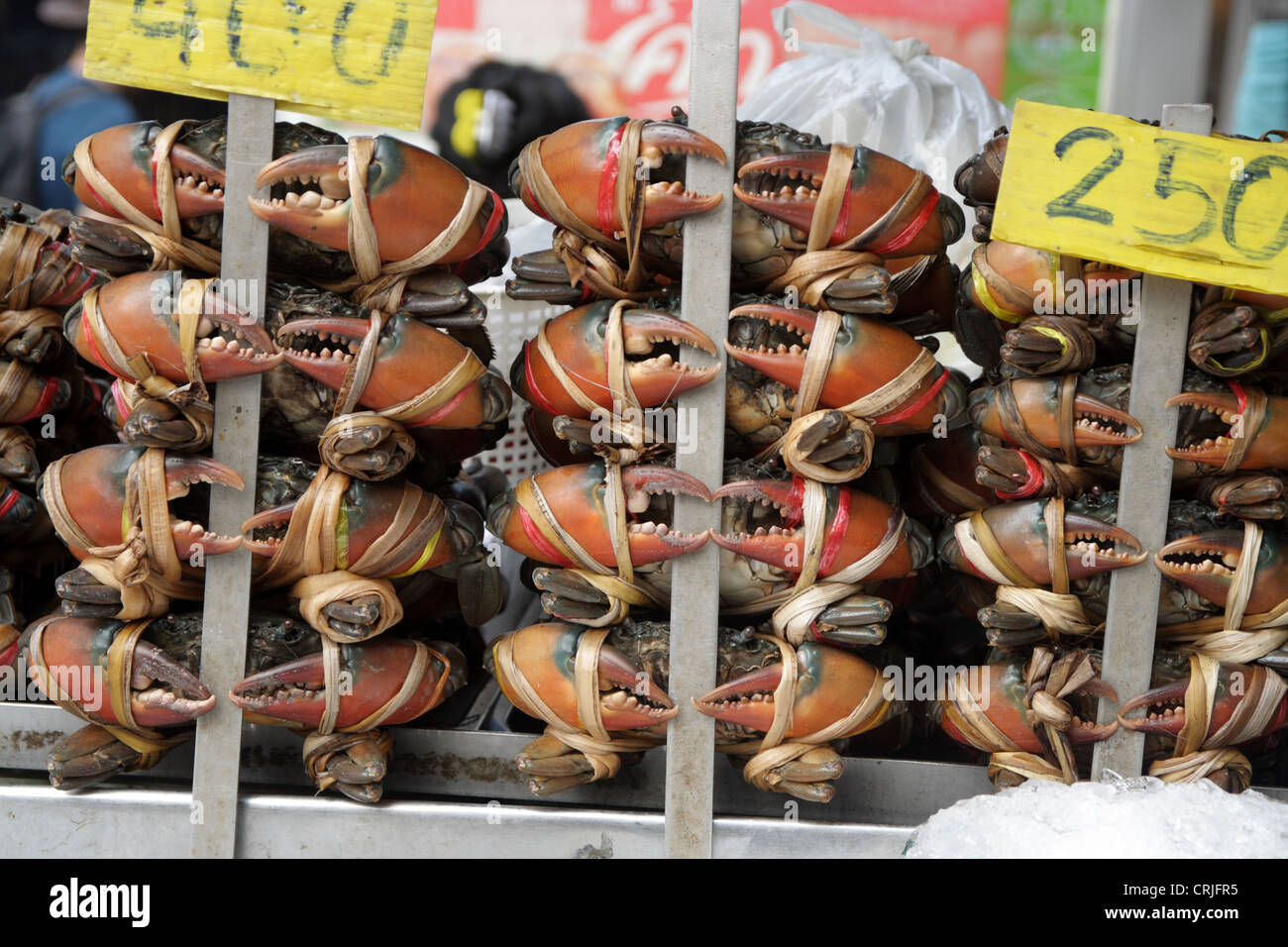 Crabs on sale Stock Photo - Alamy