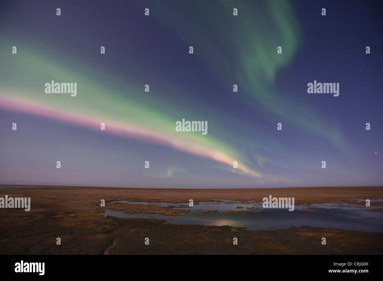 Northern lights (aurora borealis) dance in the night sky over the ...