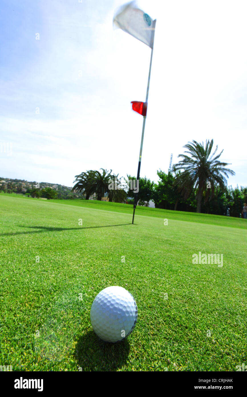 golf-ball on course Stock Photo - Alamy
