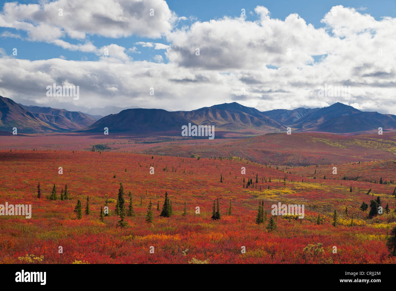 Alaska Tundra High Resolution Stock Photography and Images - Alamy